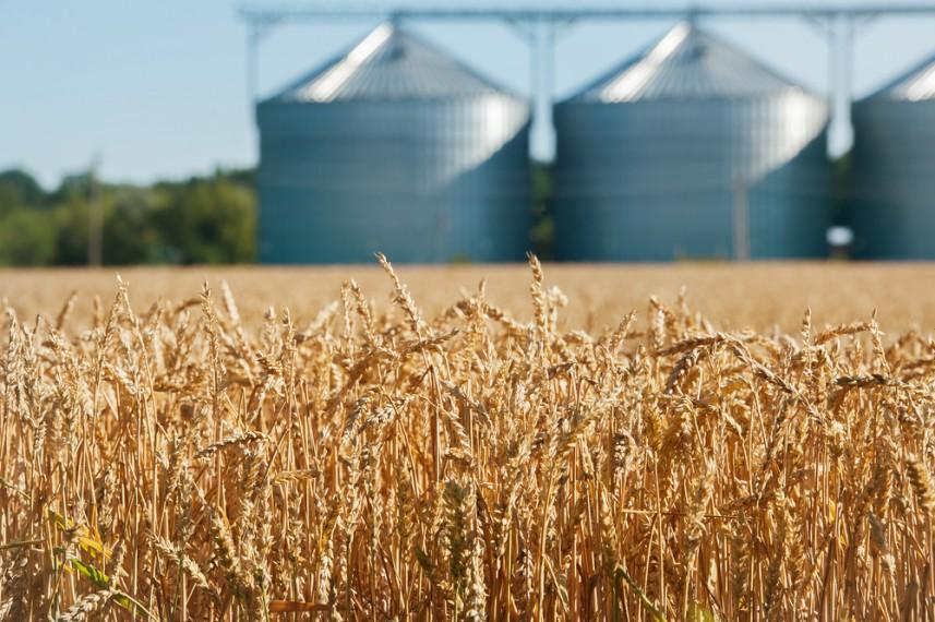 LPG Gas and Energy Efficiency in Agriculture | Industry Update ...
