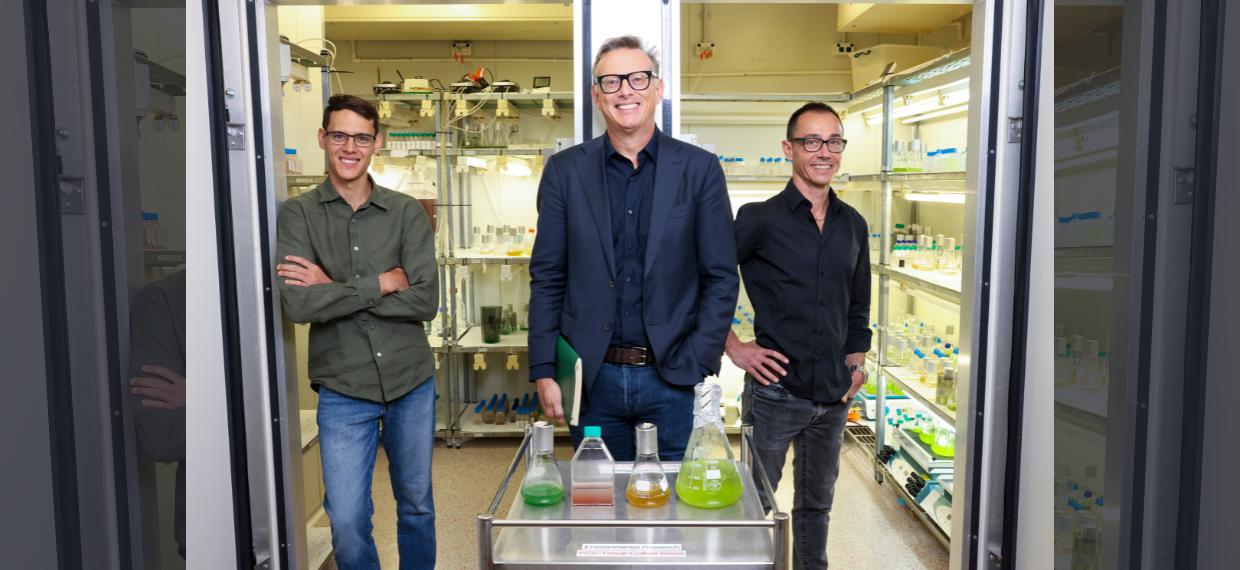 Sustainable, algae-based products could replace fossil fuels | Industry ...
