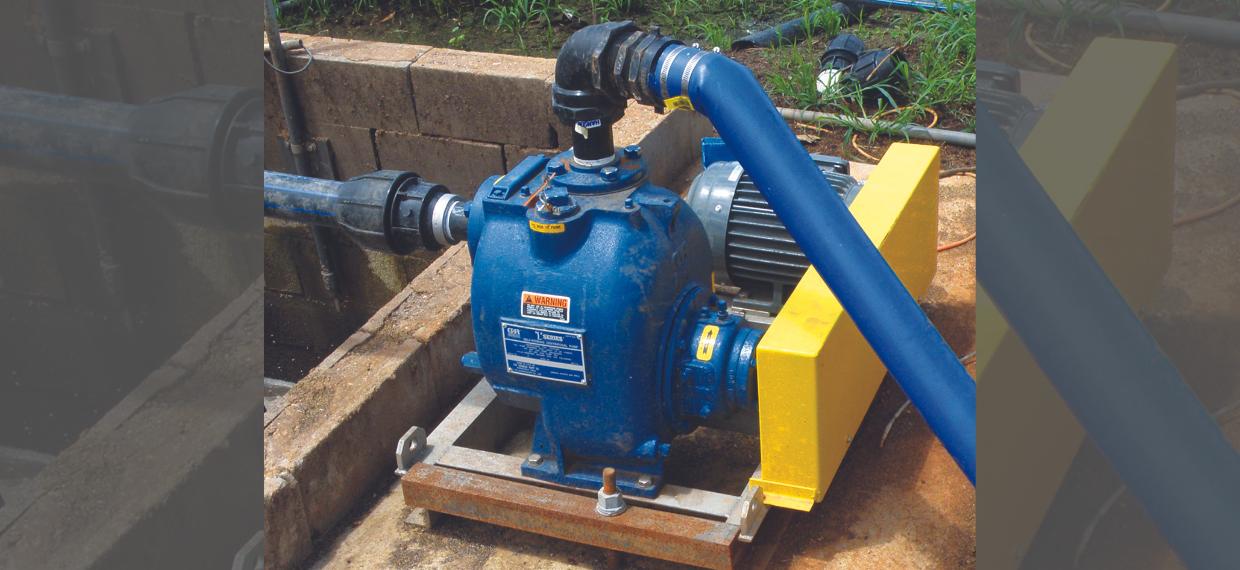 Gorman-Rupp pump improves the efficiency of pig farm | Industry Update ...
