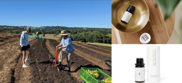 Whatever happened to SOLVOL Soap? | Industry Update Manufacturing Media